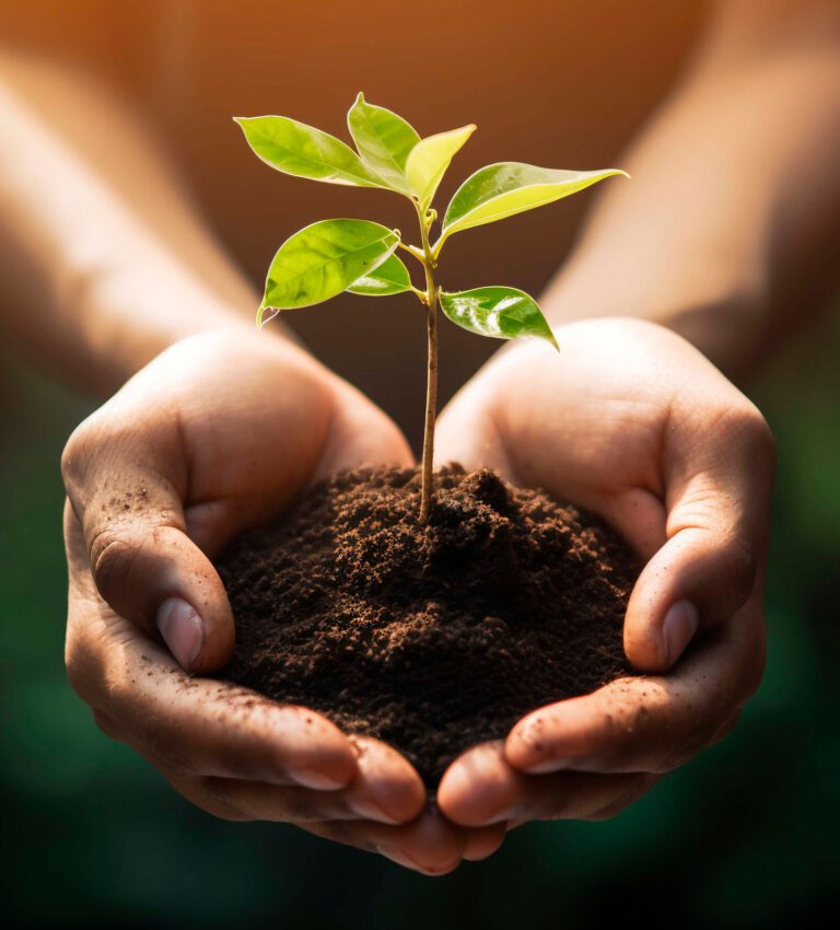 About us – ROYAL by WACL